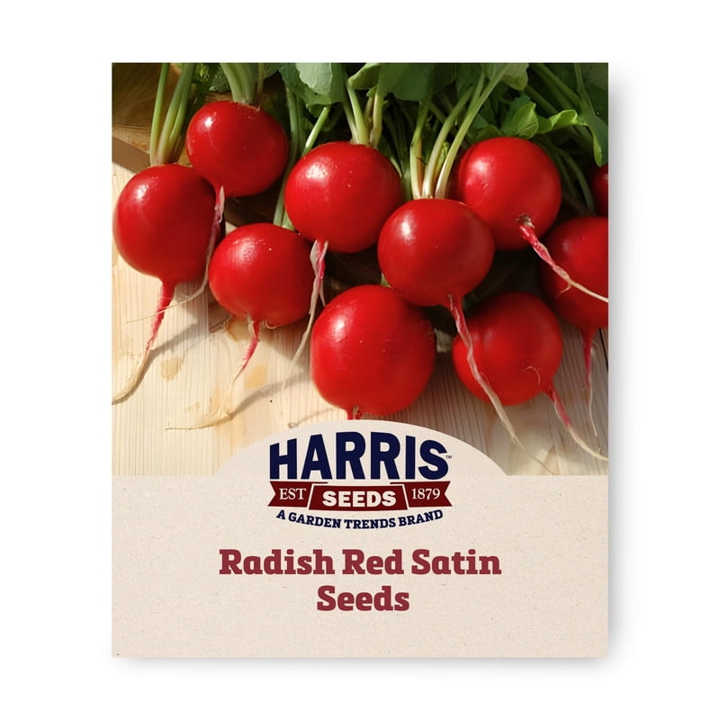 Harris Seeds - Treated Radish Red Satin Variety White Flesh - 250 Seeds ...