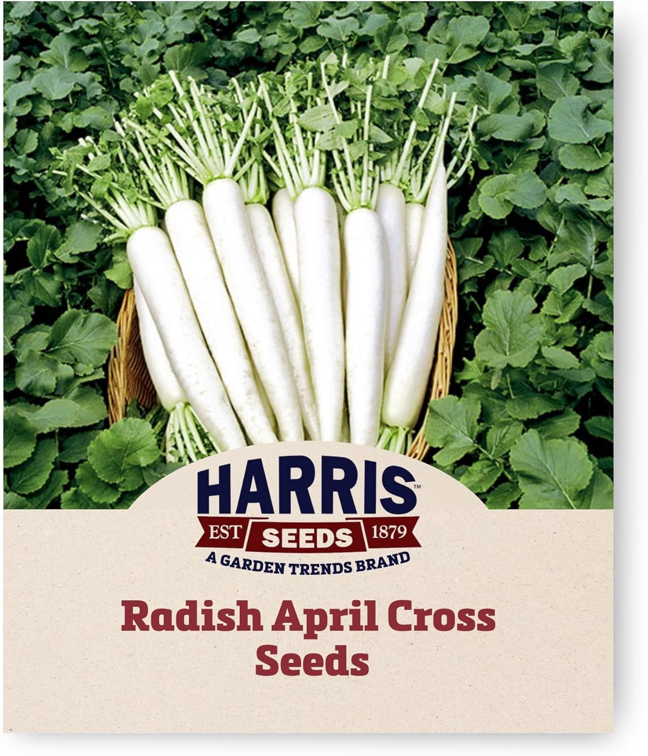 Harris Seeds - Treated Radish Seeds April Cross Variety Pure White ...