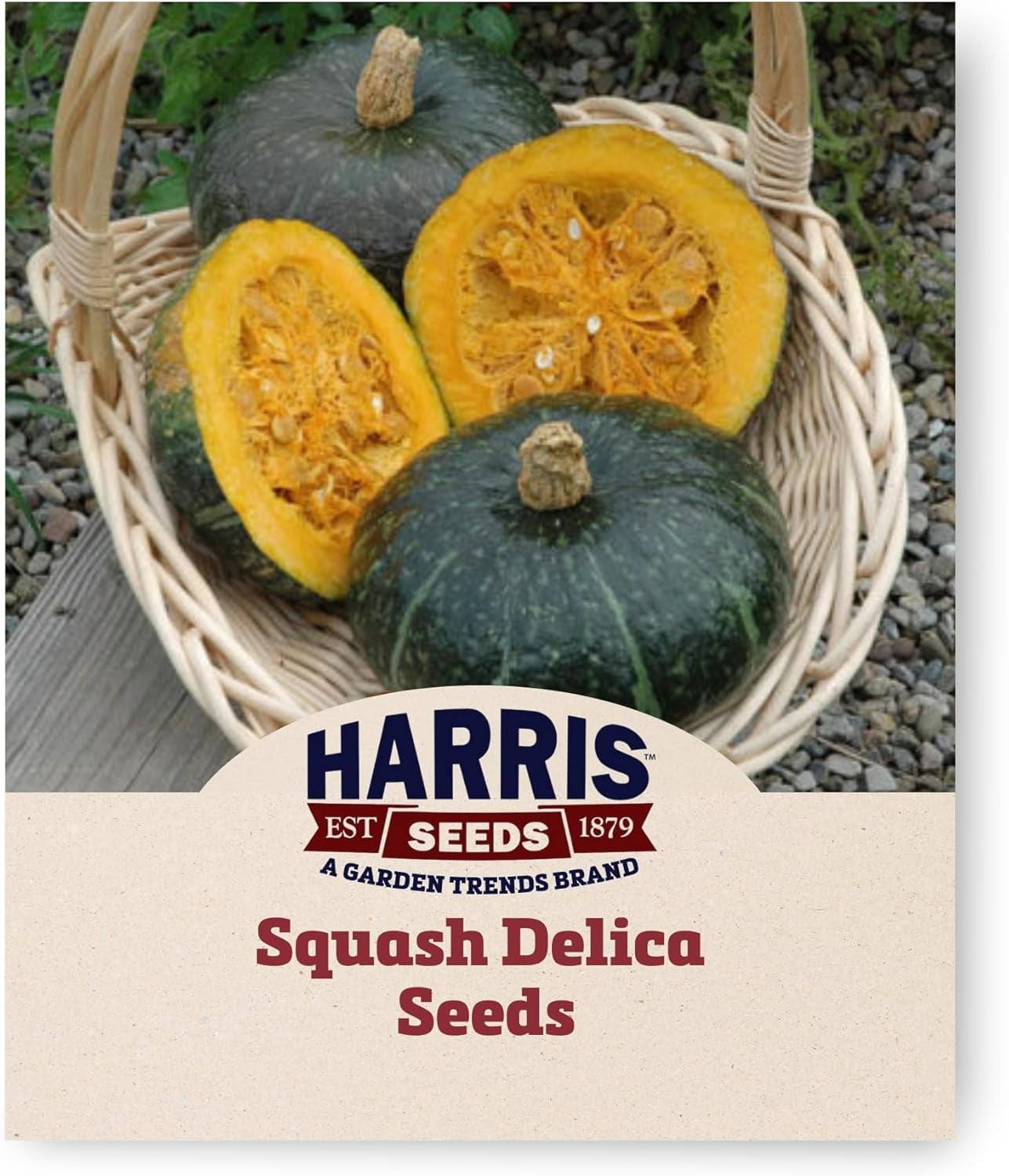 Harris Seeds - Treated Squash Delica Seeds F1 Winter Vegetable Golden ...