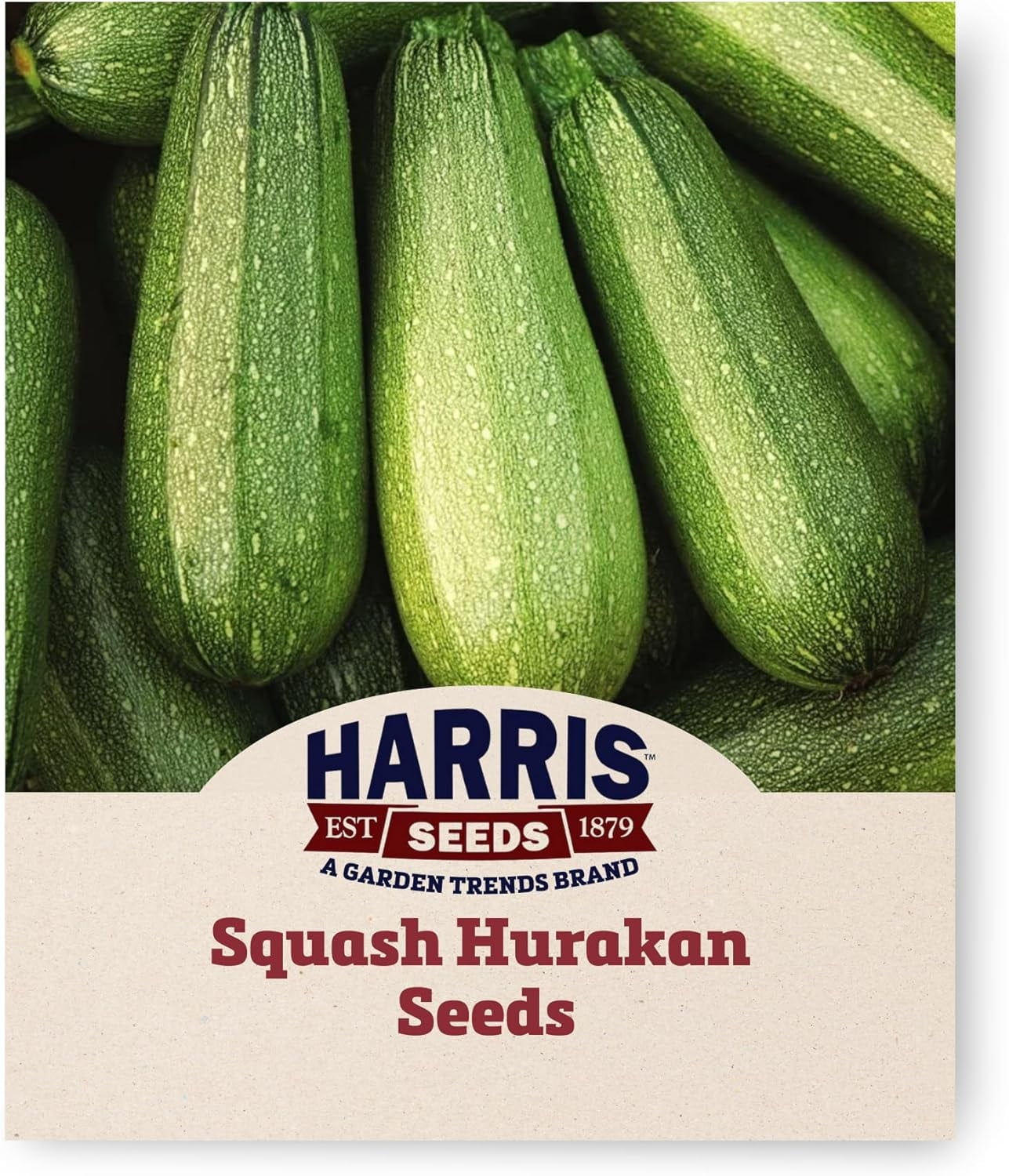 Harris Seeds - Treated Squash Hurakan Seeds F1 Variety Grey Zucchini ...