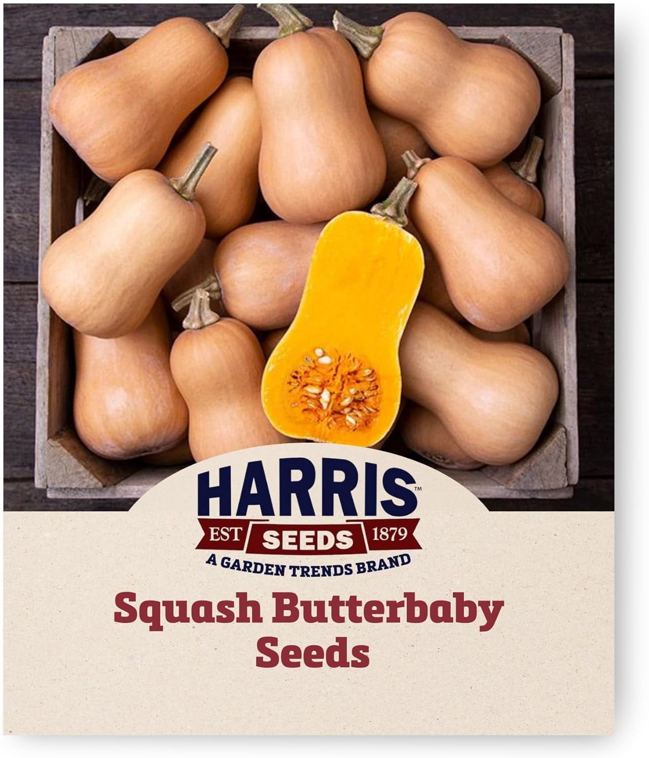 Harris Seeds - Treated Squash Seeds Butterbaby Variety Dark Orange ...