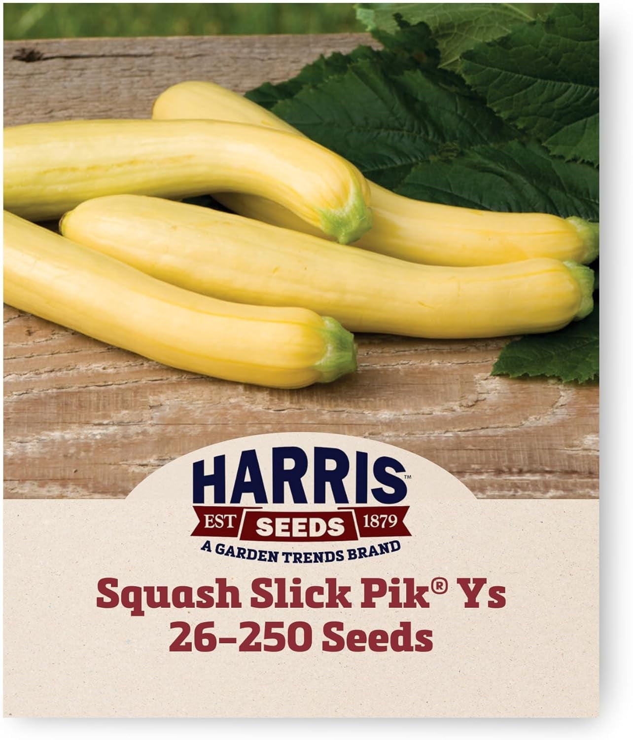 Harris Seeds - Treated Squash Seeds Slick Pik YS 26 Variety Green Stem ...