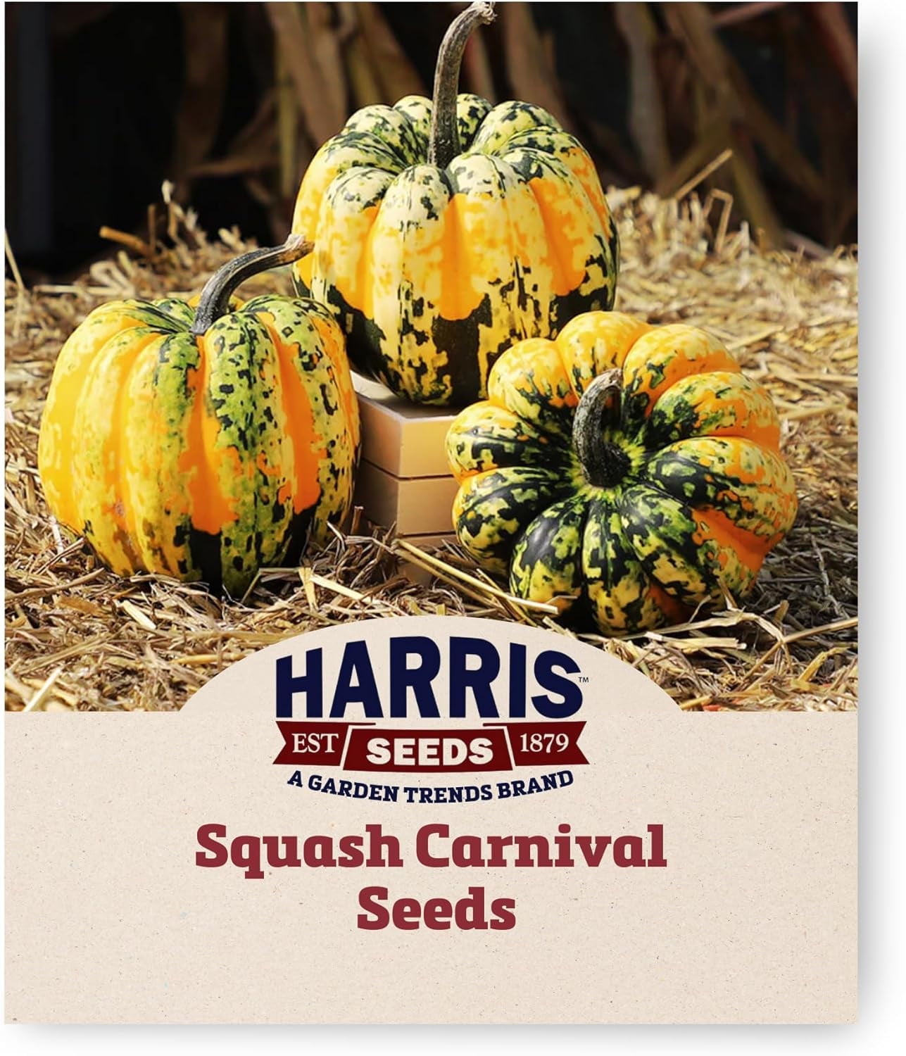 Harris Seeds - Treated Winter Acorn Squash F1 Hybrid Carnival Variety ...
