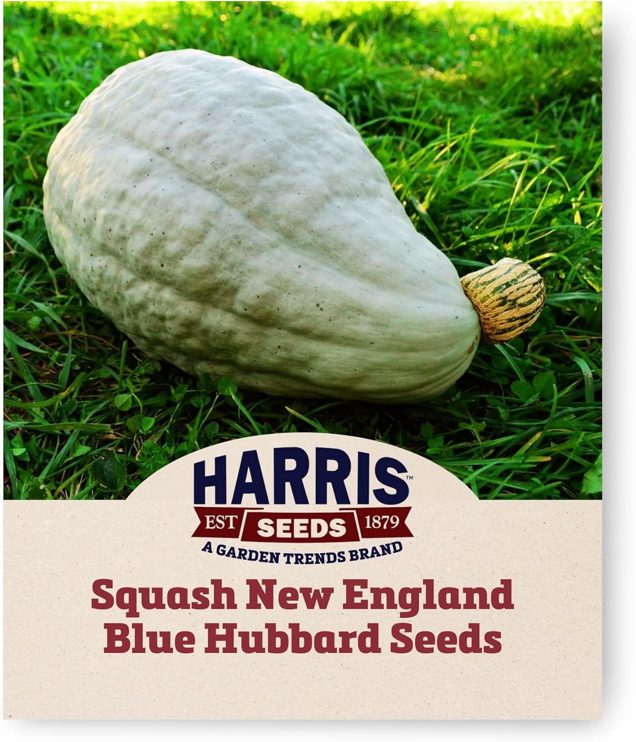Harris Seeds - Treated Winter Squash Blue Hubbard Standard Seeds ...