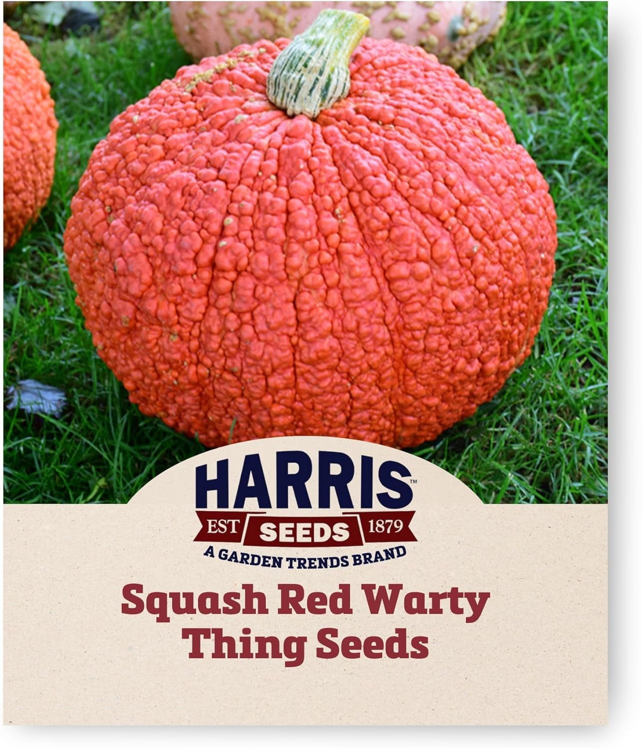 Harris Seeds - Treated Winter Squash Red Warty Thing Hubbard Bright ...