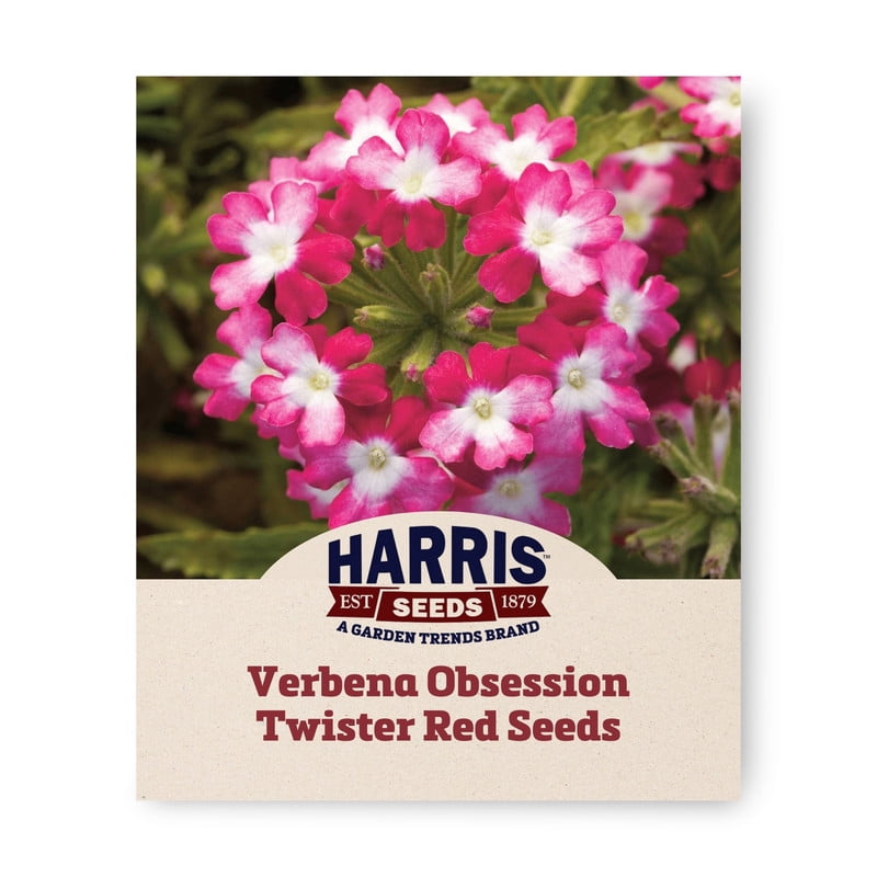 Harris Seeds - Verbena Obsession Twister Red Seeds For Outdoor Garden ...