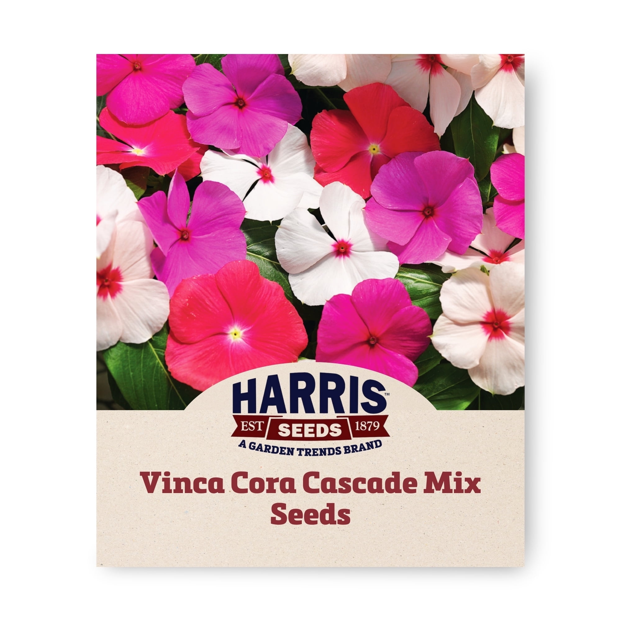 Harris Seeds - Vinca Cora Cascade Mix F1 Seeds - Overlapping-Petals ...