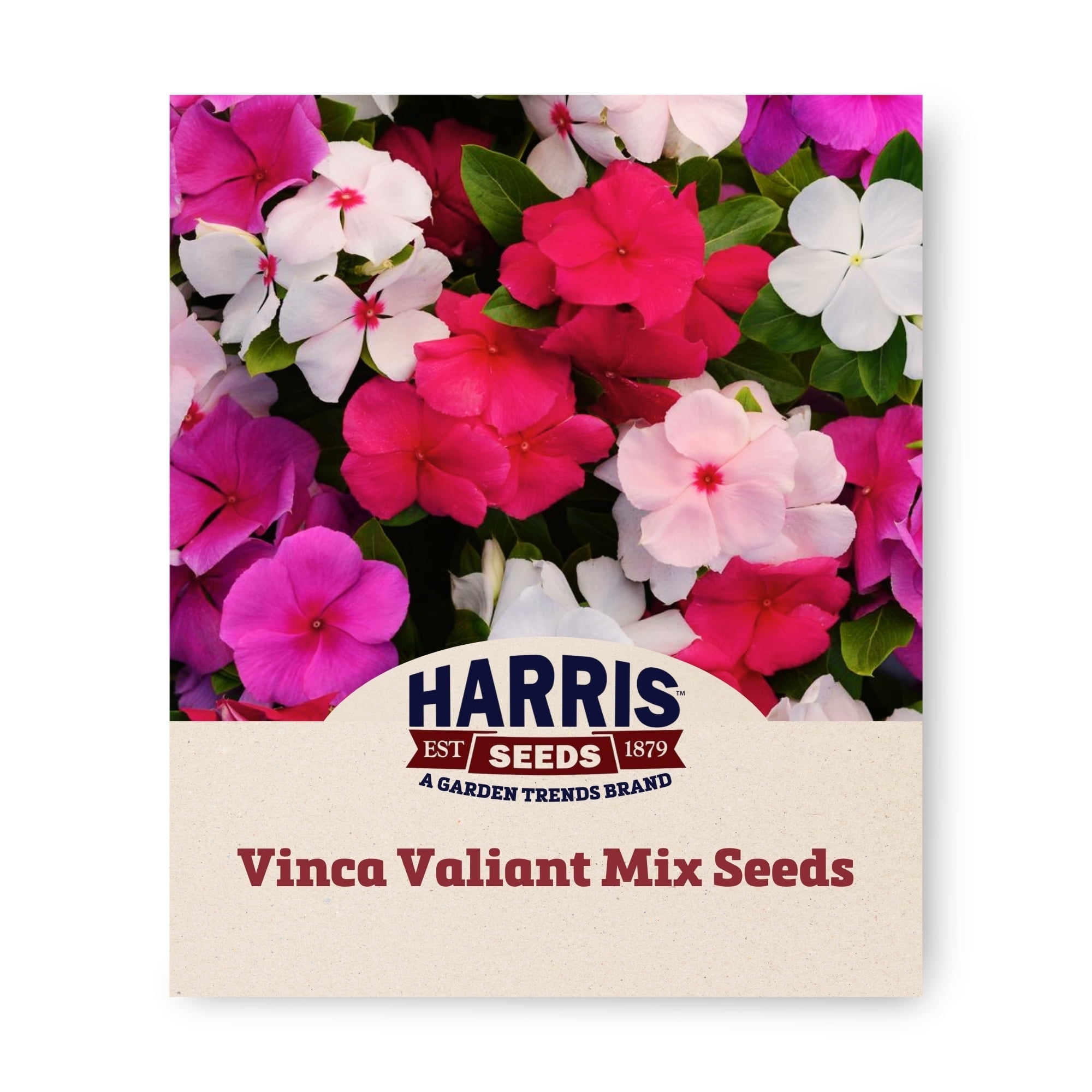 Harris Seeds - Vinca Valiant Mix F1 Flower Seeds - 100 Seeds - Walmart.com