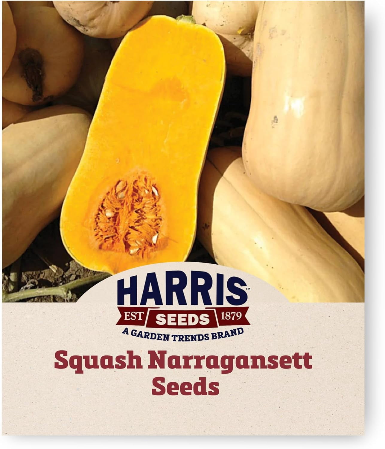 Harris Seeds - Winter Squash Butternut Narragansett F1 Variety - 1,000 ...
