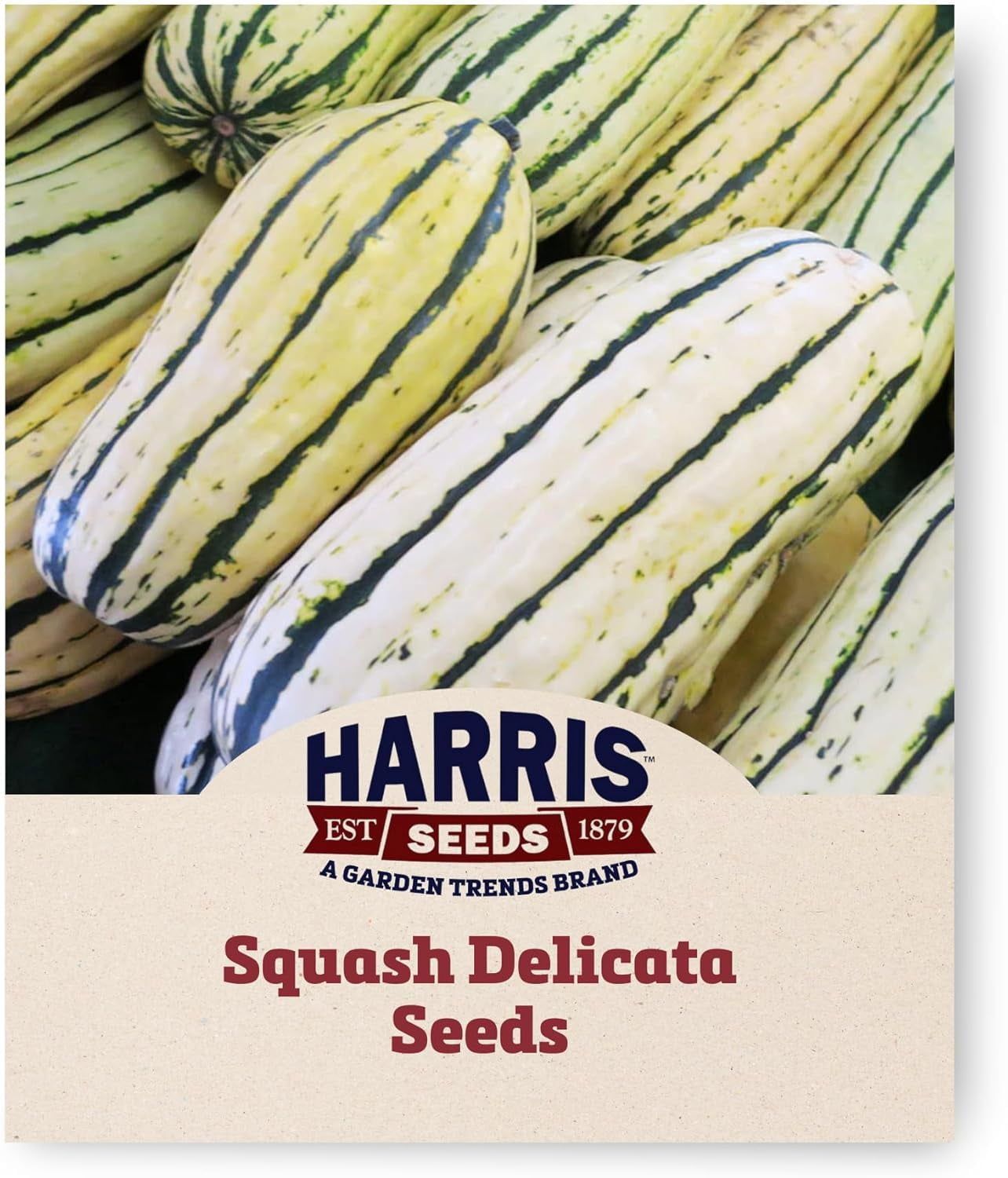 Harris Seeds - Winter Squash Delicata Premium Striped with Green - 1 Oz ...