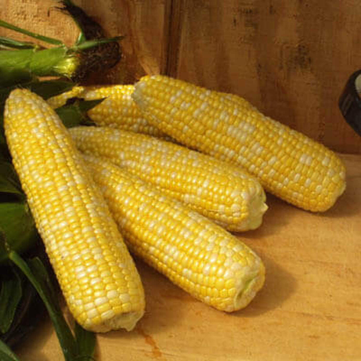 Sweet Corn Xtra-Tender 274A F1 Seed - Walmart.com