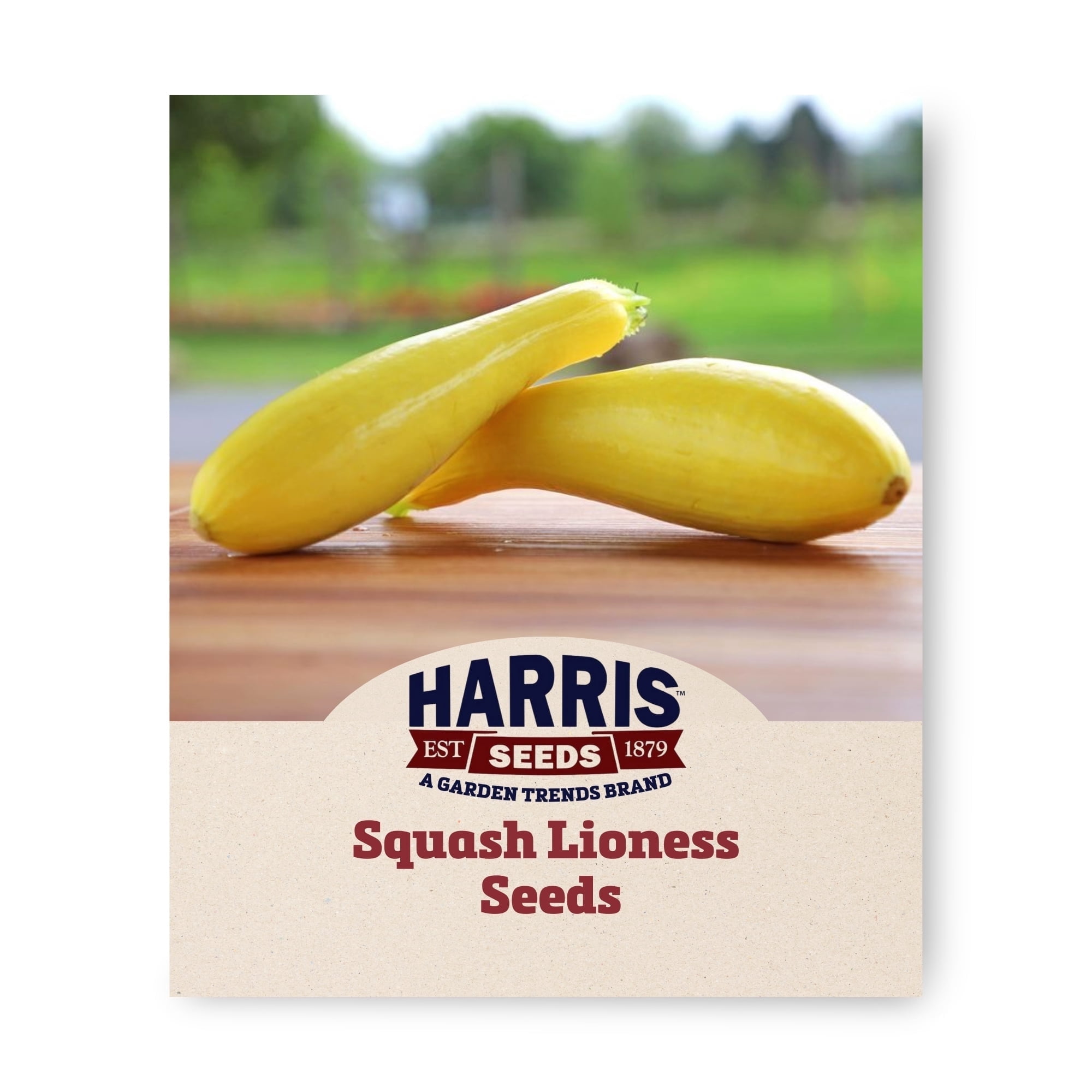 Harris Seeds Lioness F1 Yellow Straightneck Squash, Green Stem Variety ...