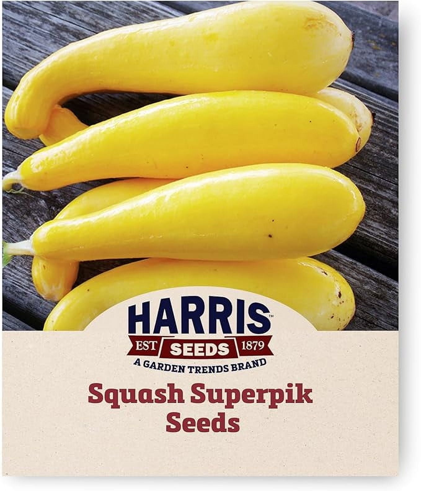 Harris Seeds - Yellow Summer Squash Seeds - Superpik F1 Variety - 250 ...