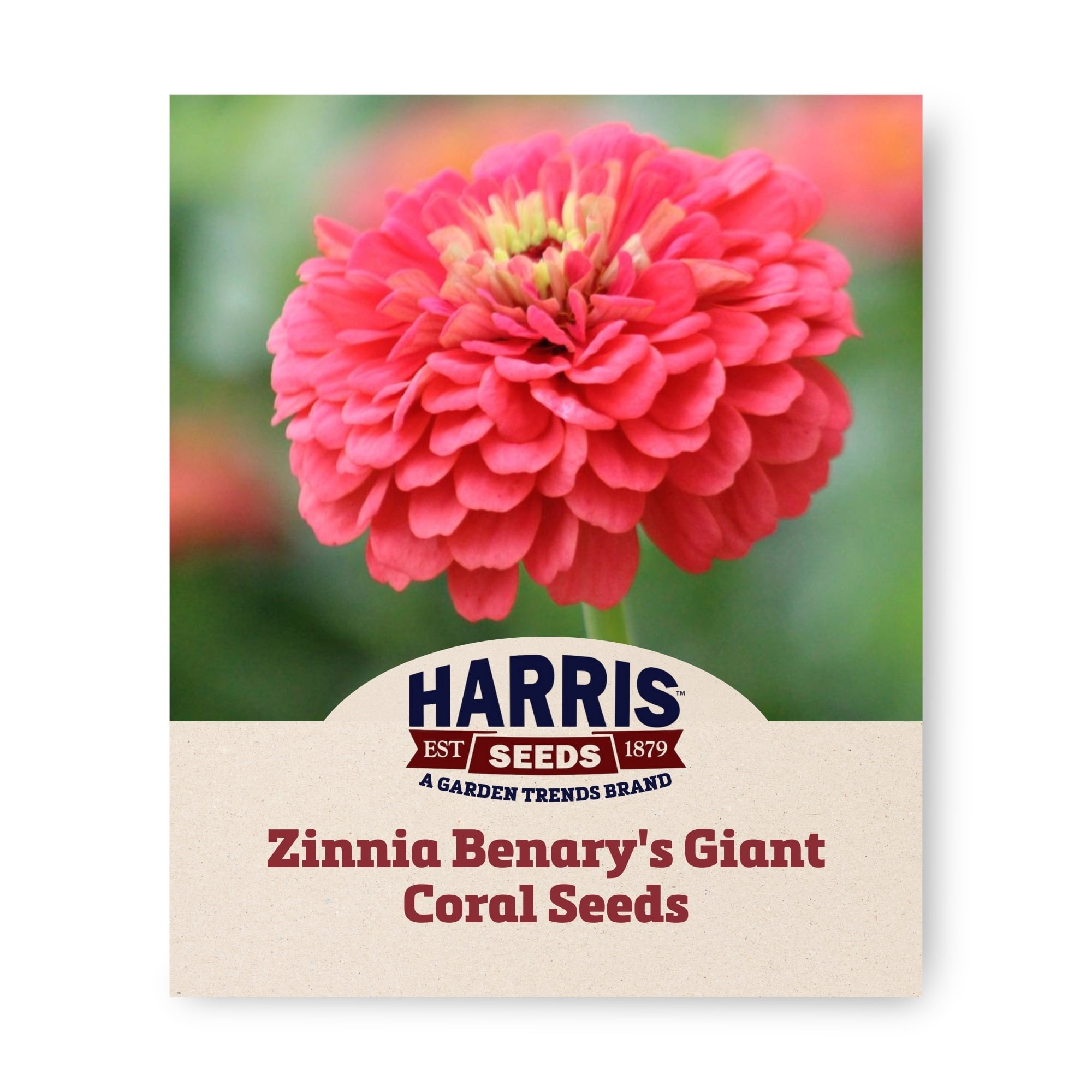 Harris Seeds - Zinnia Benary's Giant Coral Seeds - NON-GMO - 250 Seeds ...