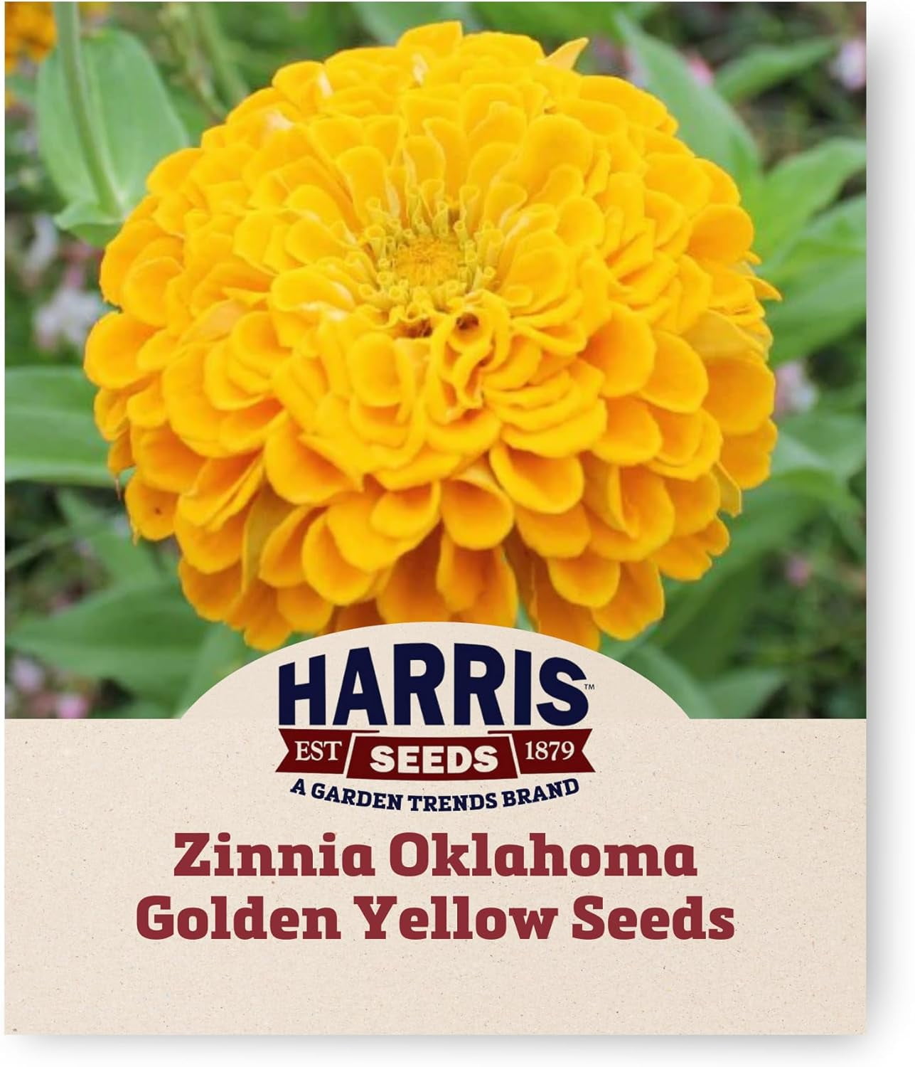 Harris Seeds - Zinnia Seeds - Oklahoma Golden Yellow Flower Non-GMO - 10,000 Seeds - Walmart.com