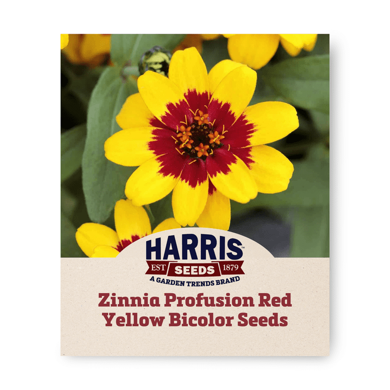 Harris Seeds - Zinnia Seeds Profusion Red Yellow Bicolor Flowers - 250 ...