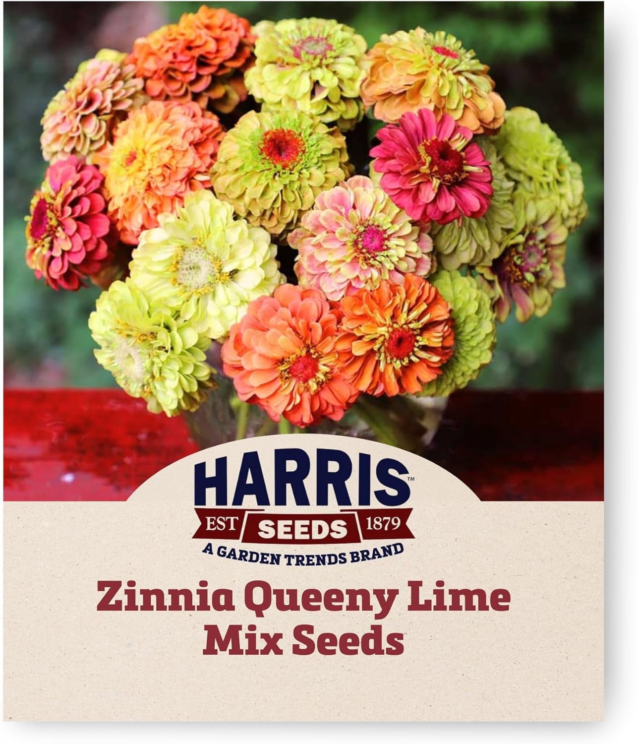 Harris Seeds - Zinnia Seeds Queeny Lime Mix Flowers Non-GMO - 50 Seeds ...