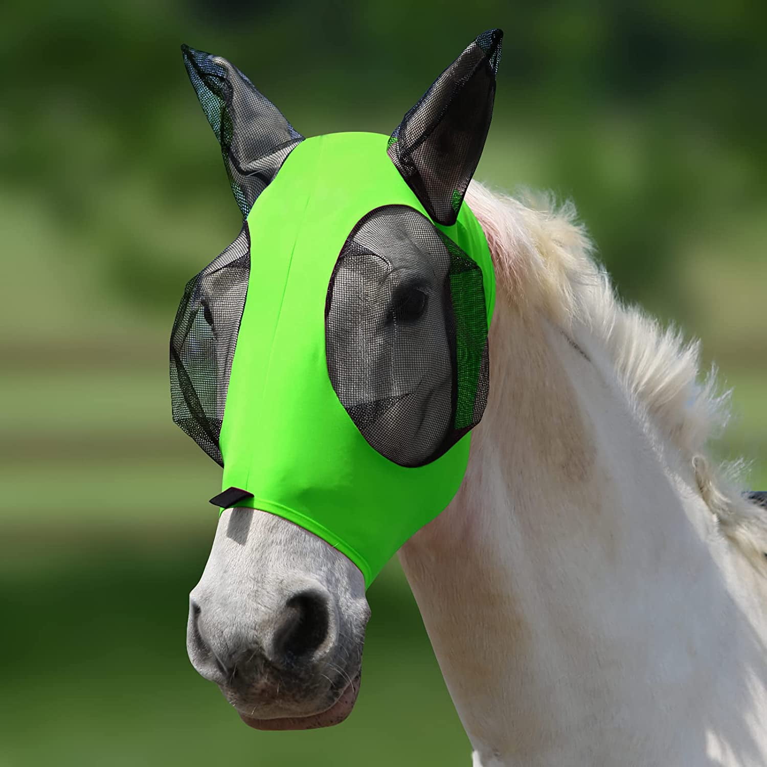 Harrison Howard Stretch, Breathable, UV Protective Fly Mask with Mesh ...