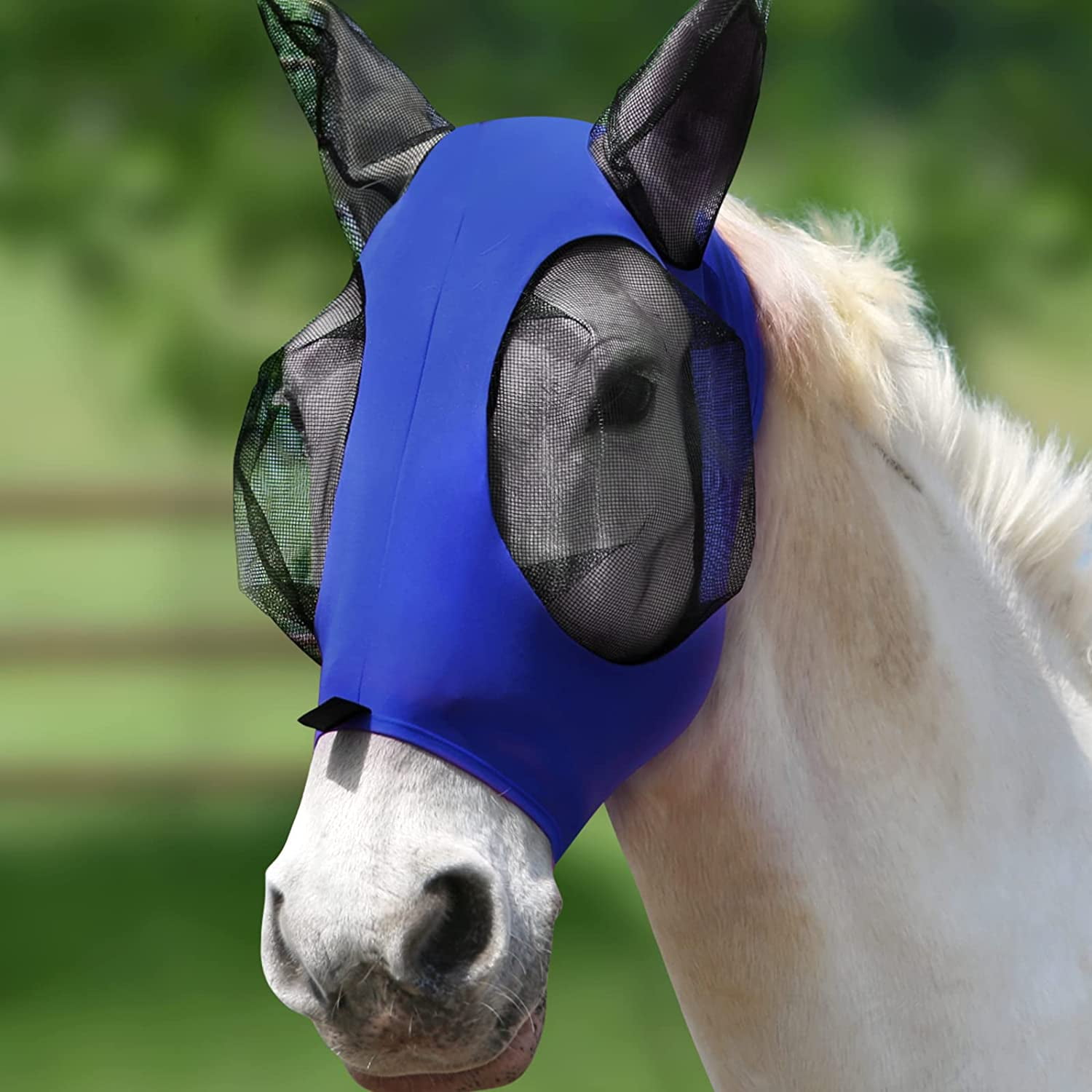 Harrison Howard Stretchy Fly Mask, Breathable UV Protection, Mesh Eye ...