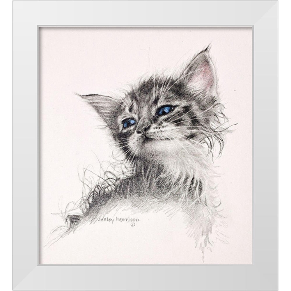 Harrison, Lesley 20x22 White Modern Wood Framed Museum Art Print Titled ...