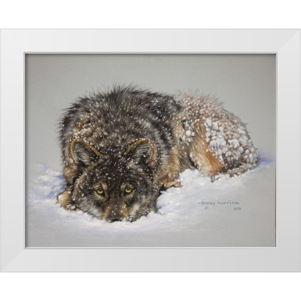 Harrison, Lesley 32x26 White Modern Wood Framed Museum Art Print Titled ...