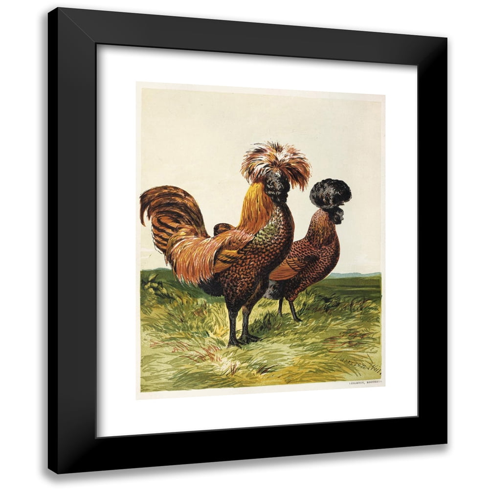 Harrison Weir 12x14 Black Modern Framed Museum Art Print Titled ...