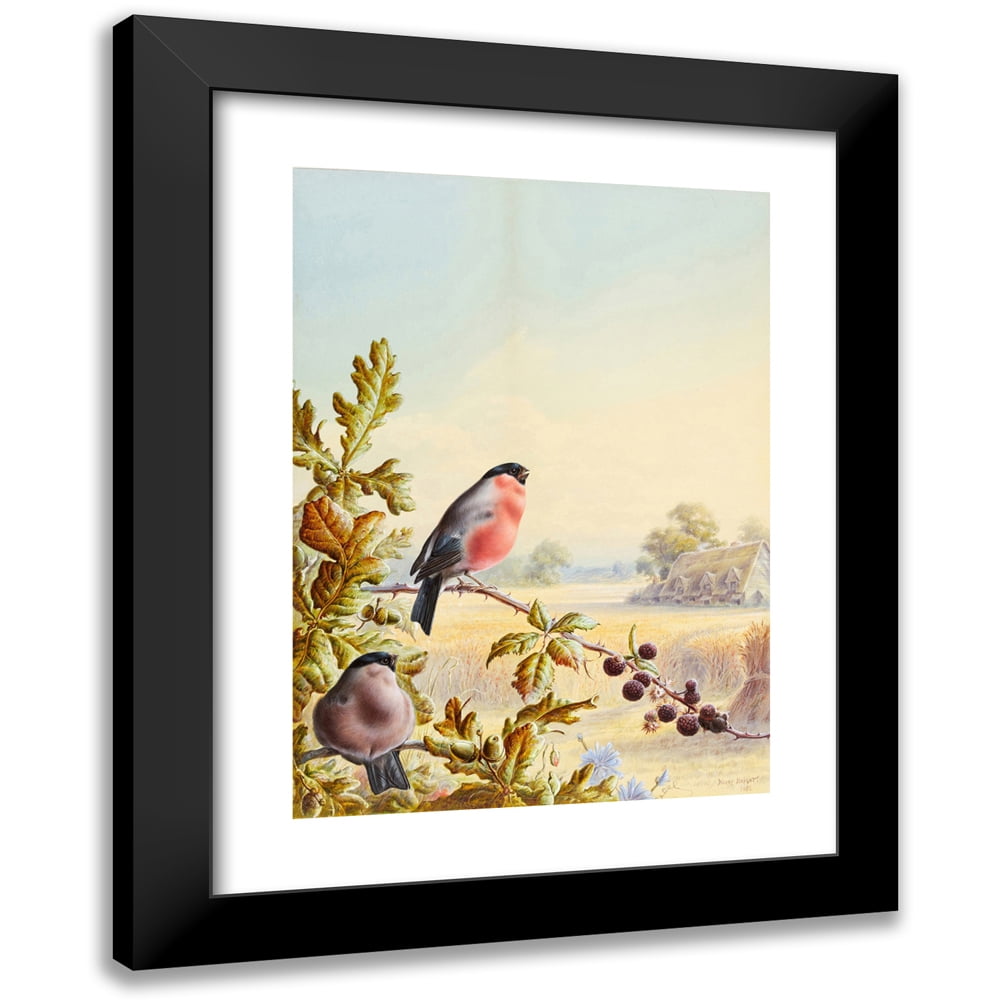 Harry Bright 11x14 Black Modern Framed Museum Art Print Titled - Summer ...