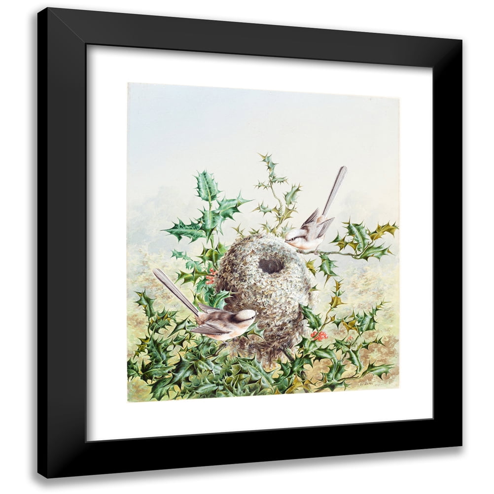 Harry Bright 15x17 Black Modern Framed Museum Art Print Titled - Coral ...