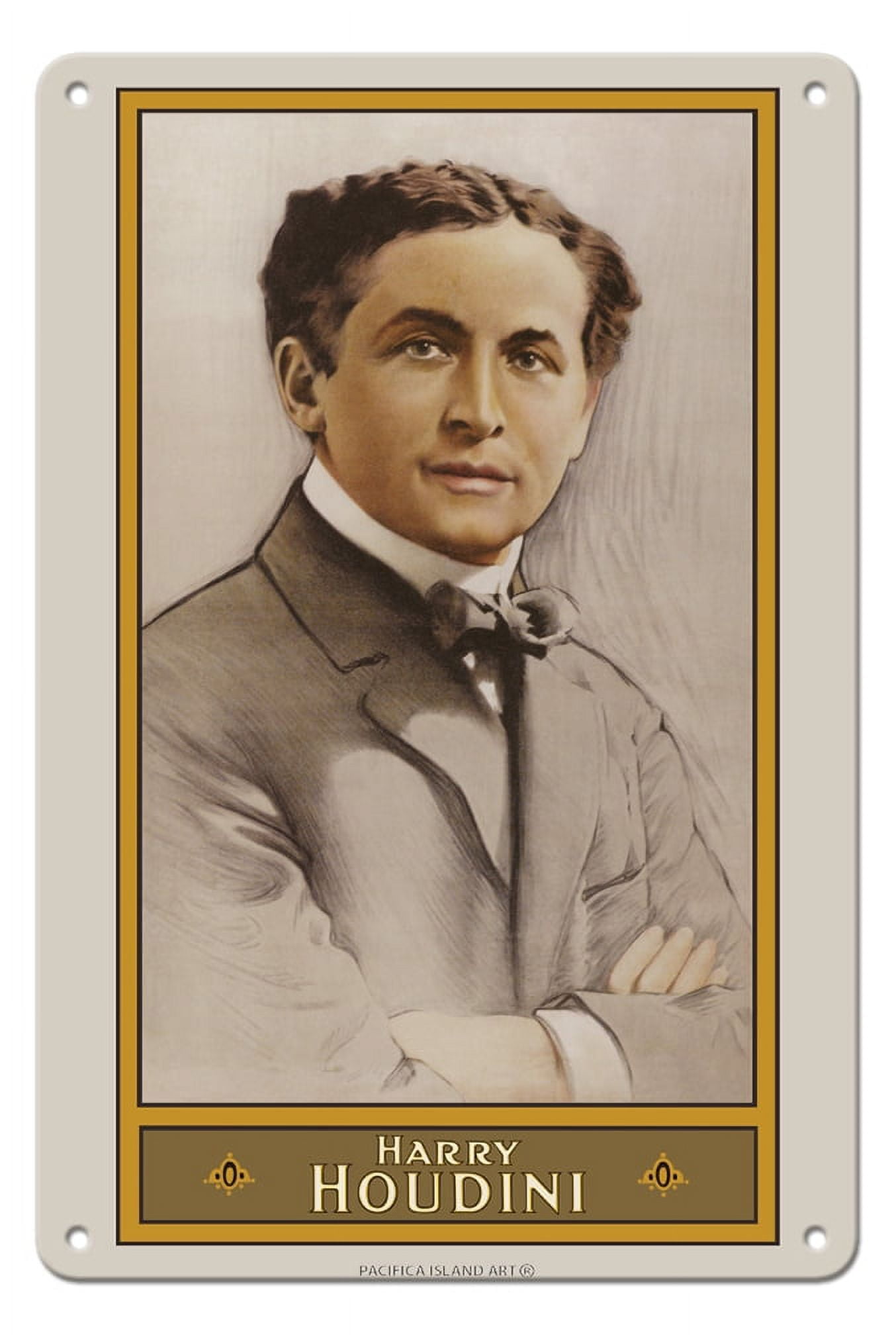 Harry Houdini - Illusionist and Stunt Performer - Vintage Magic Poster ...
