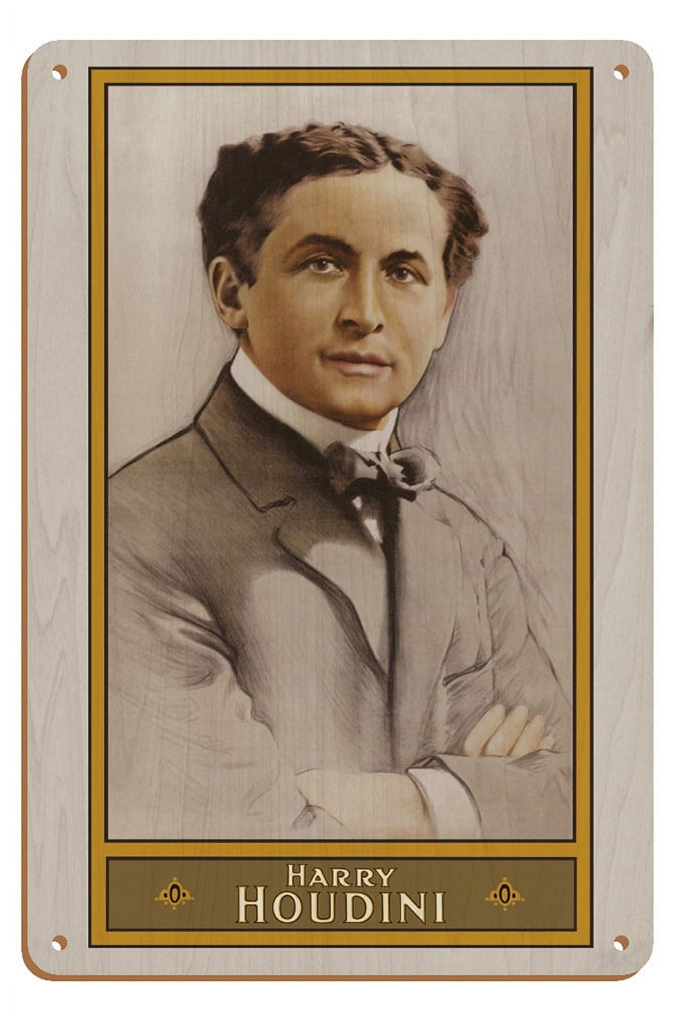Harry Houdini - Illusionist and Stunt Performer - Vintage Magic Poster ...