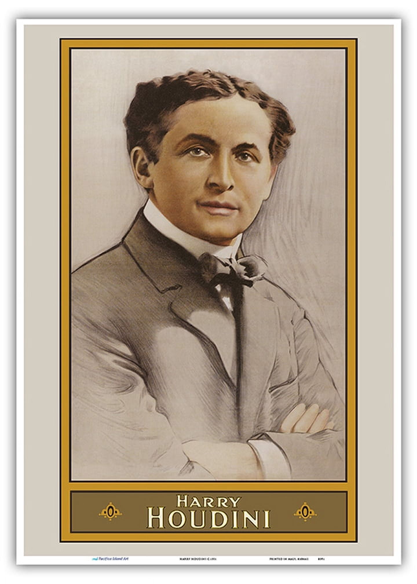 Harry Houdini - Illusionist and Stunt Performer - Vintage Magic Poster ...
