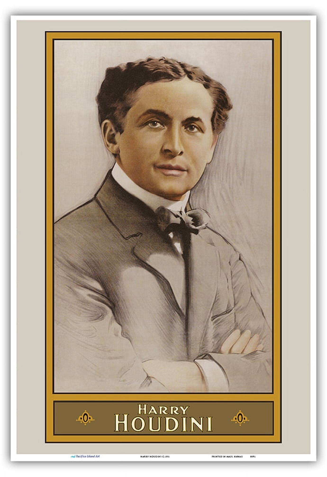 Harry Houdini - Illusionist and Stunt Performer - Vintage Magic Poster ...