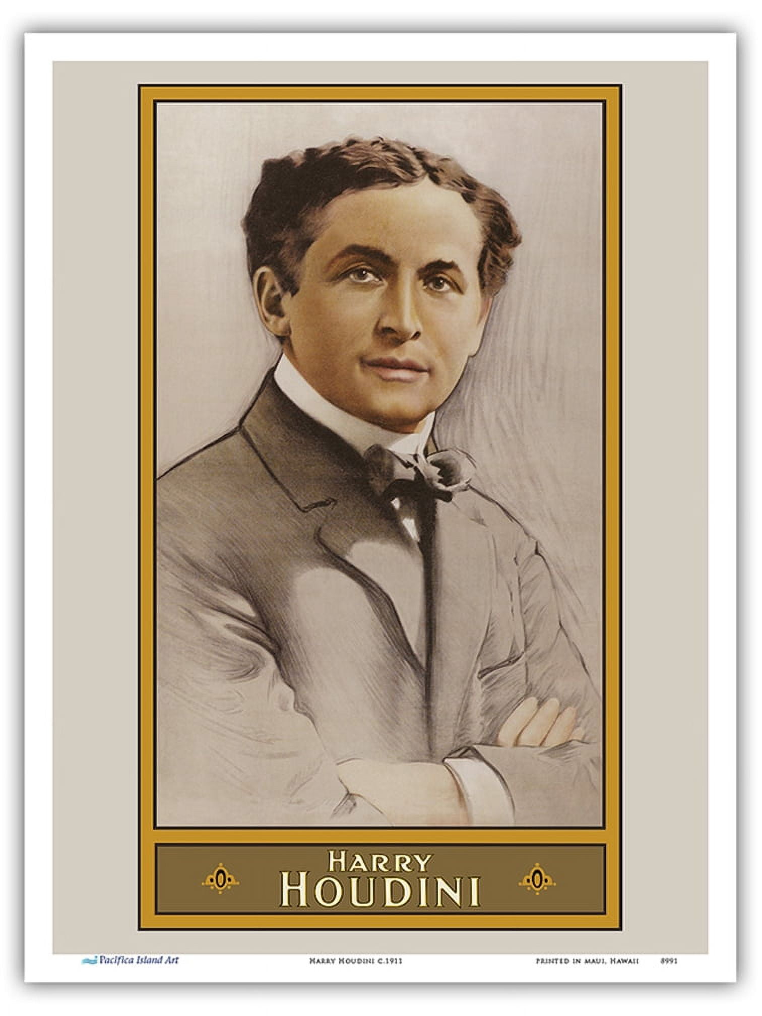 Harry Houdini - Illusionist and Stunt Performer - Vintage Magic Poster ...