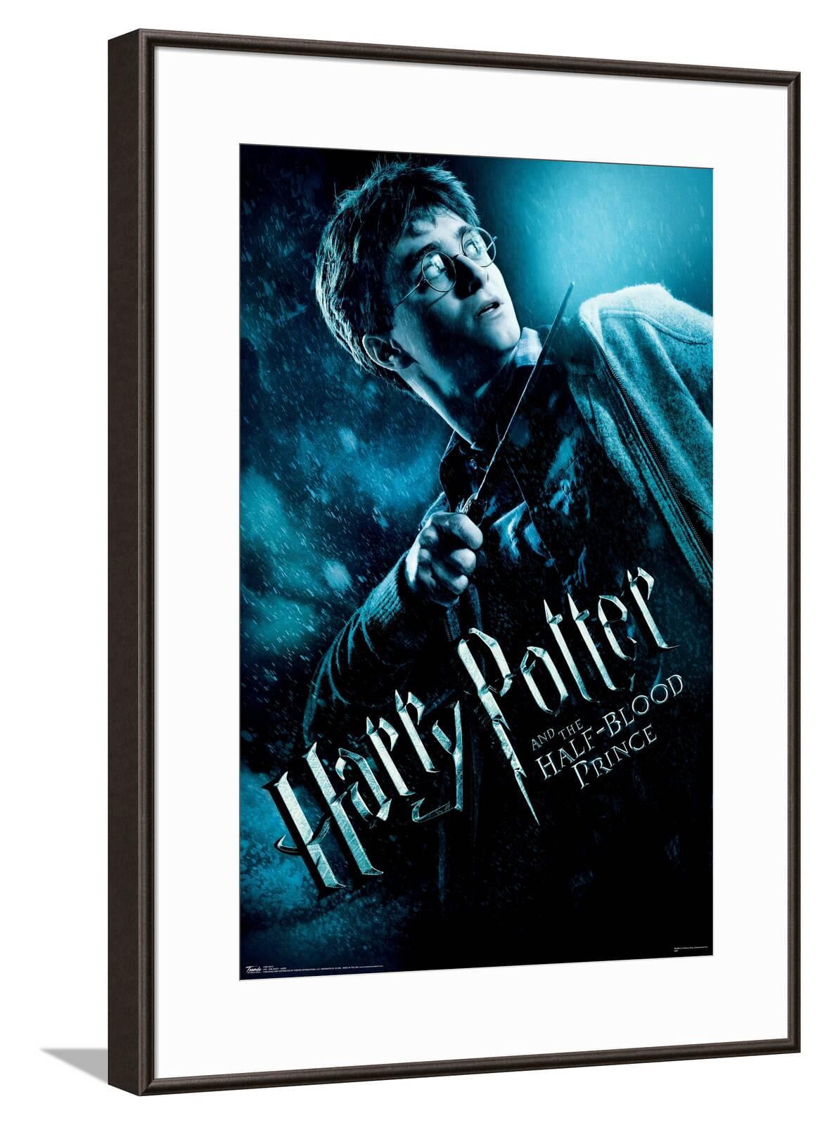 Harry Potter And The Half-Blood Prince-Harry One Sheet Canvas Wall ...