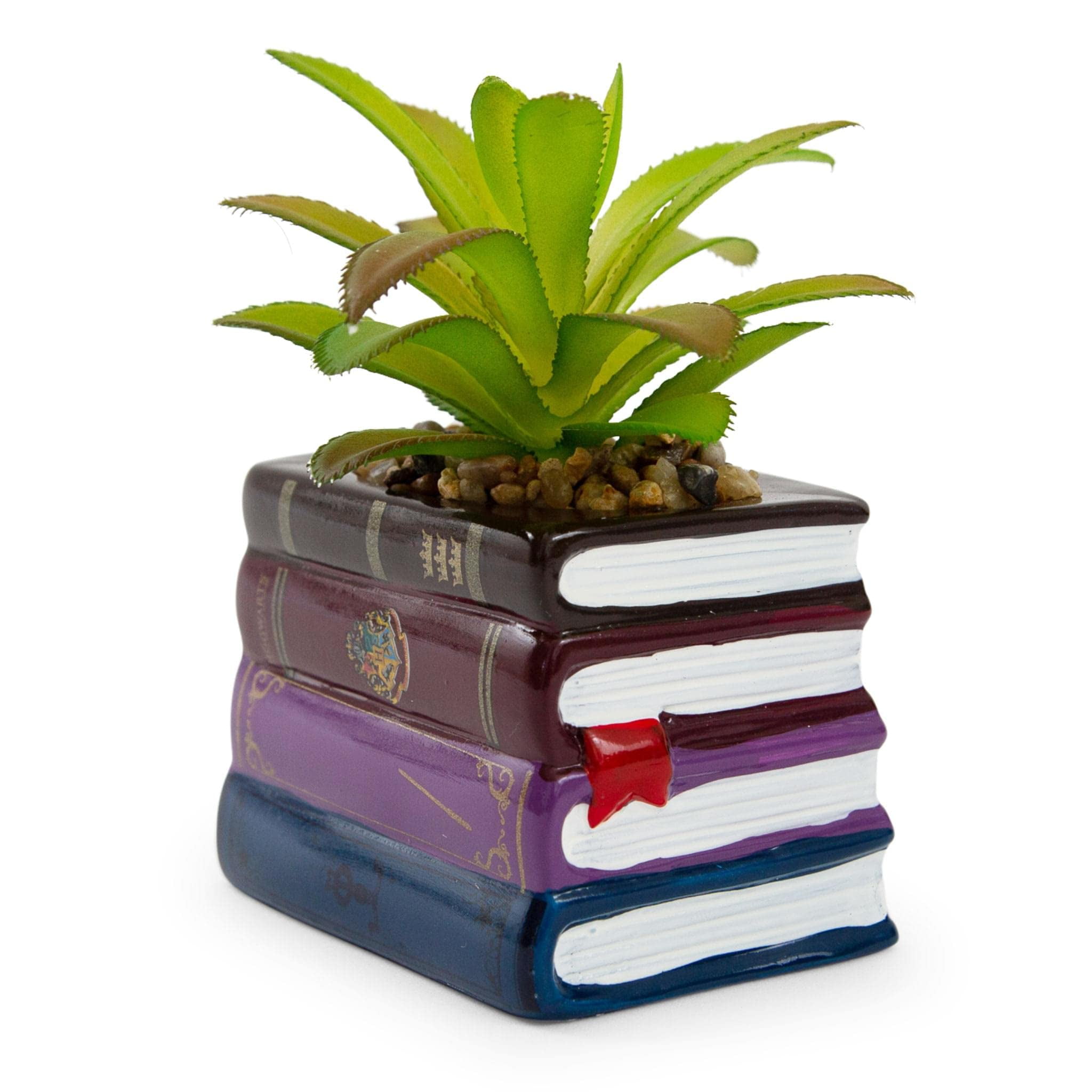 Harry Potter Book Stack 3-Inch Ceramic Planter With Succulent | Small ...