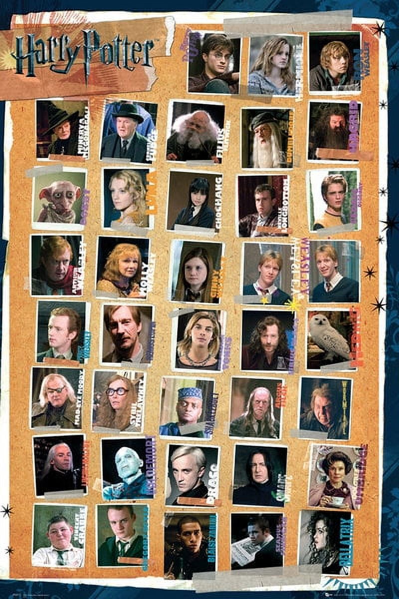 Rolled Poster Harry Potter Characters 24" x 36" Framed - Walmart.com