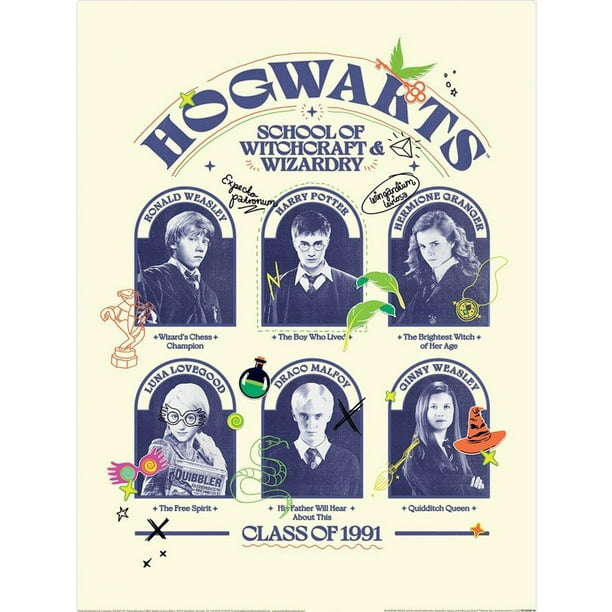 Harry Potter Class Of 1991 Bulletin Board Print - Walmart Business Supplies