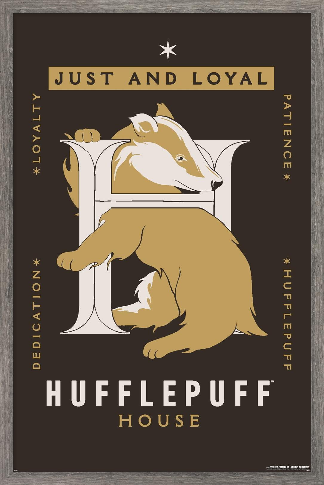Harry Potter: Darker Arts - Hufflepuff House Wall Poster, 22.375" x 34" Framed - Walmart.com