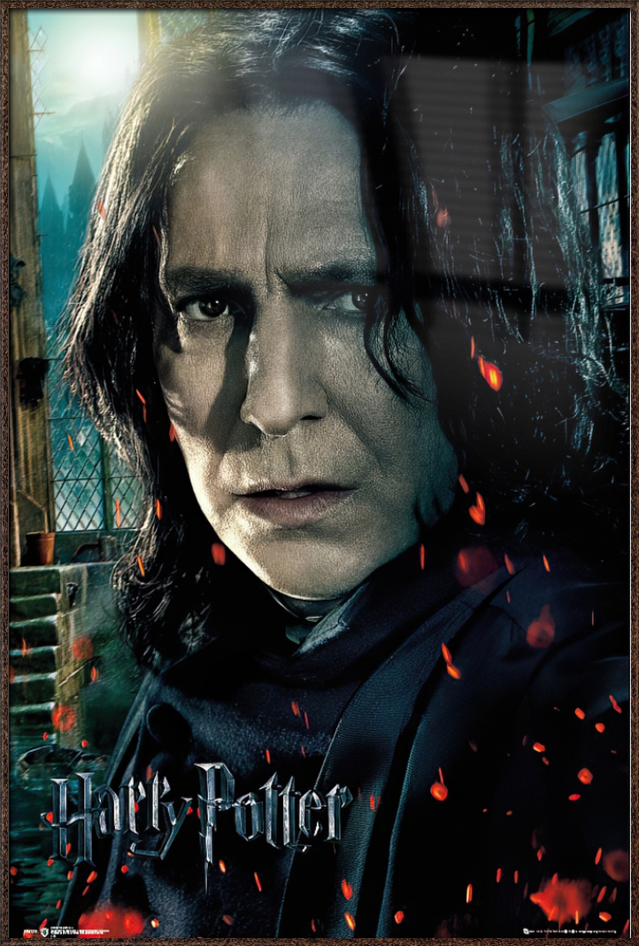 Harry Potter And The Deathly Hallows - Framed Movie Poster (Professor ...