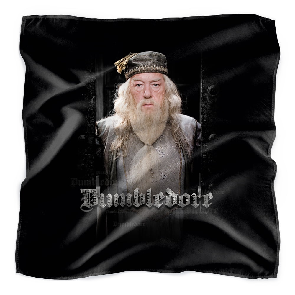 Harry Potter Dumbledore Dumble Doors Bandana (21 in x 21 in) - Walmart.com