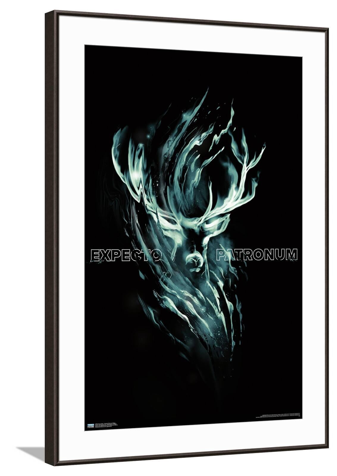 Harry Potter - Expecto Patronum Magic Canvas Wall Poster, 22.375" x 34 ...