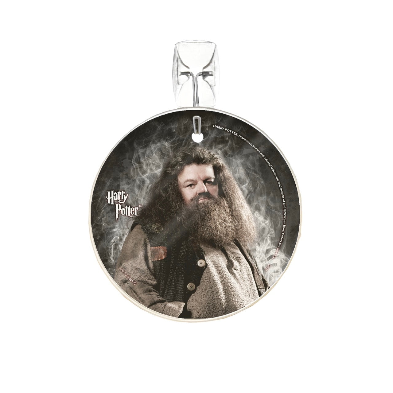 Harry Potter (Hagrid) StarFire Prints™ Glass Art - Walmart.com