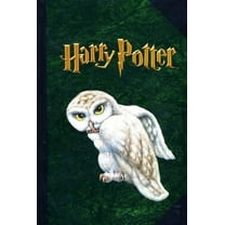 Harry Potter Origami Volume 1 (Harry Potter) (Paperback) - Walmart.com