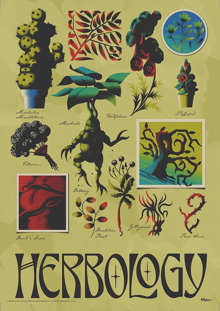 Harry Potter (Herbology) MightyPrint™ Wall Art - Walmart.com