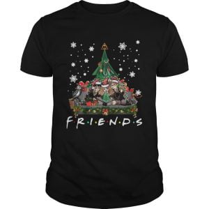 Harry Potter Hermione And Ron Weasley Christmas Tree style Friends tv ...