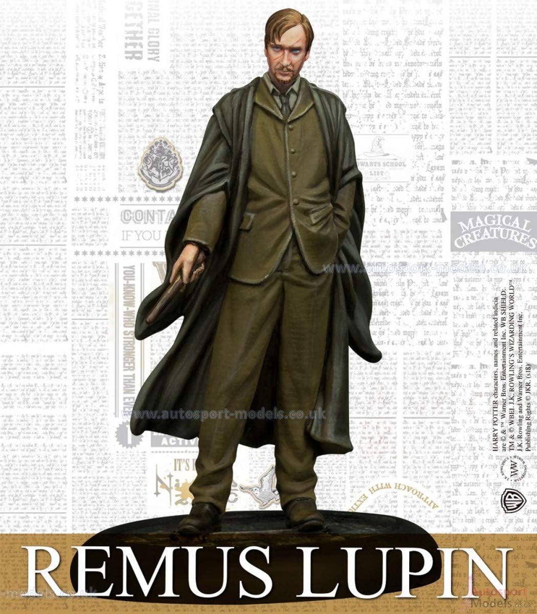 Professor Lupin Costume