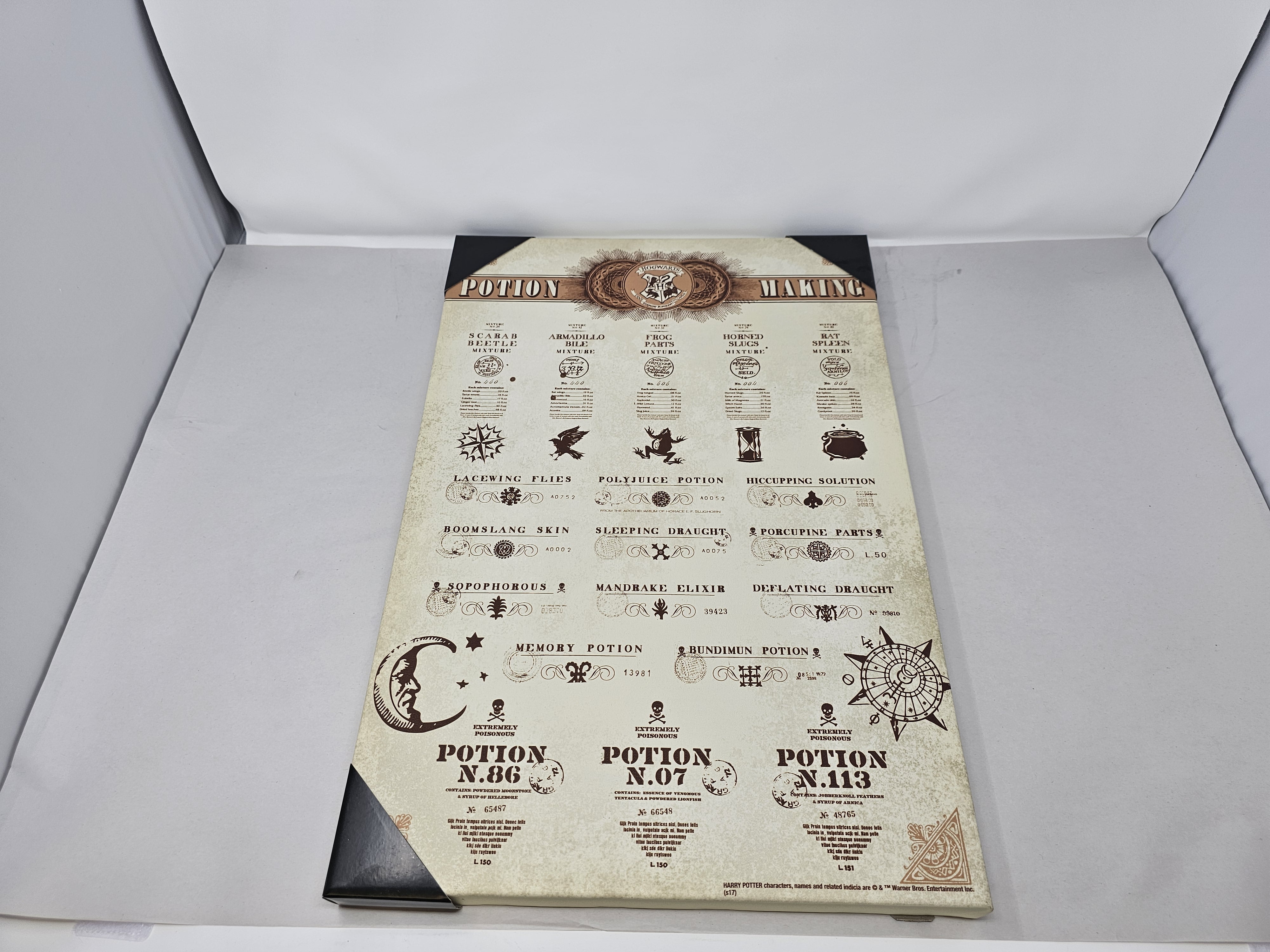 Harry Potter Potion Making Canvas Wall Decor - Walmart.com