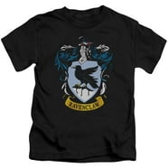 Harry Potter Hufflepuff Quidditch Toddler Boy's Black Tee-3T - Walmart.com