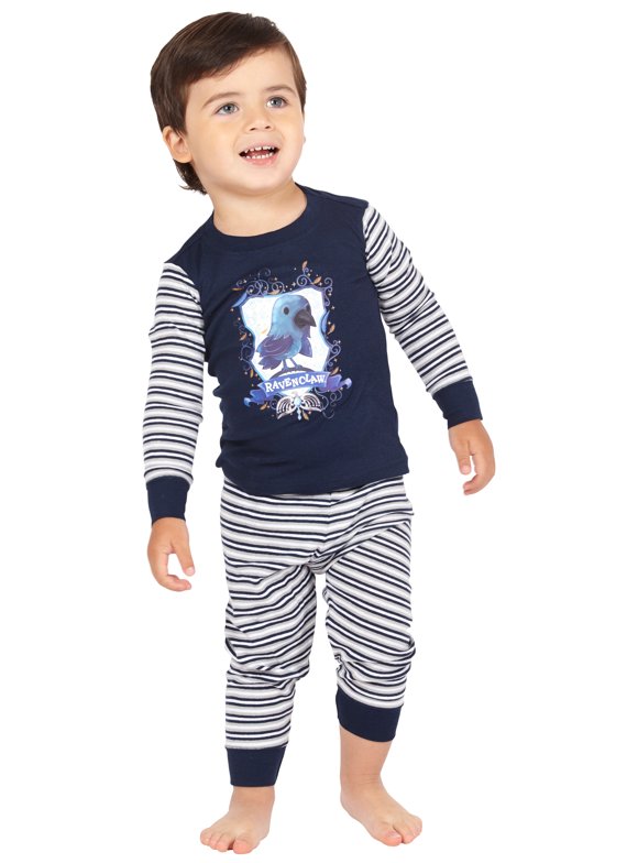 Ravenclaw in Harry Potter Houses - Walmart.com