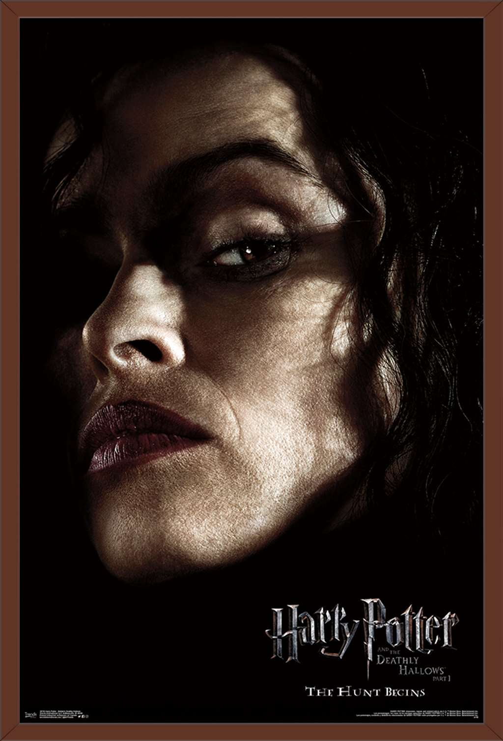 Harry Potter 7 Part 1 Poster